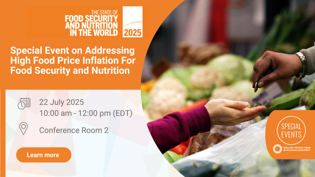 2025 HLPF Special Events | Department of Economic and Social Affairs